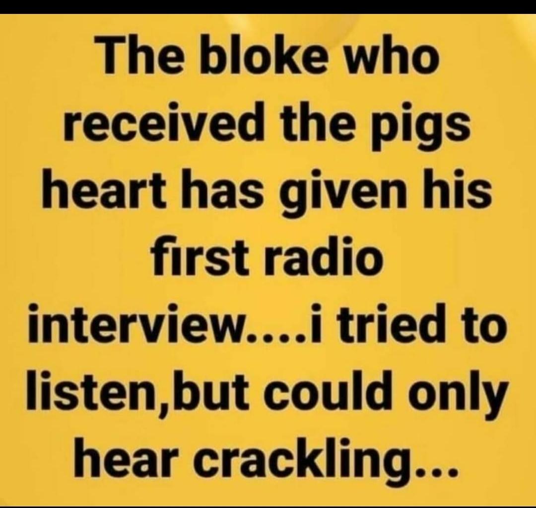 Jokes Thread - Page 48 - Boiler Room - LadyBoyReview