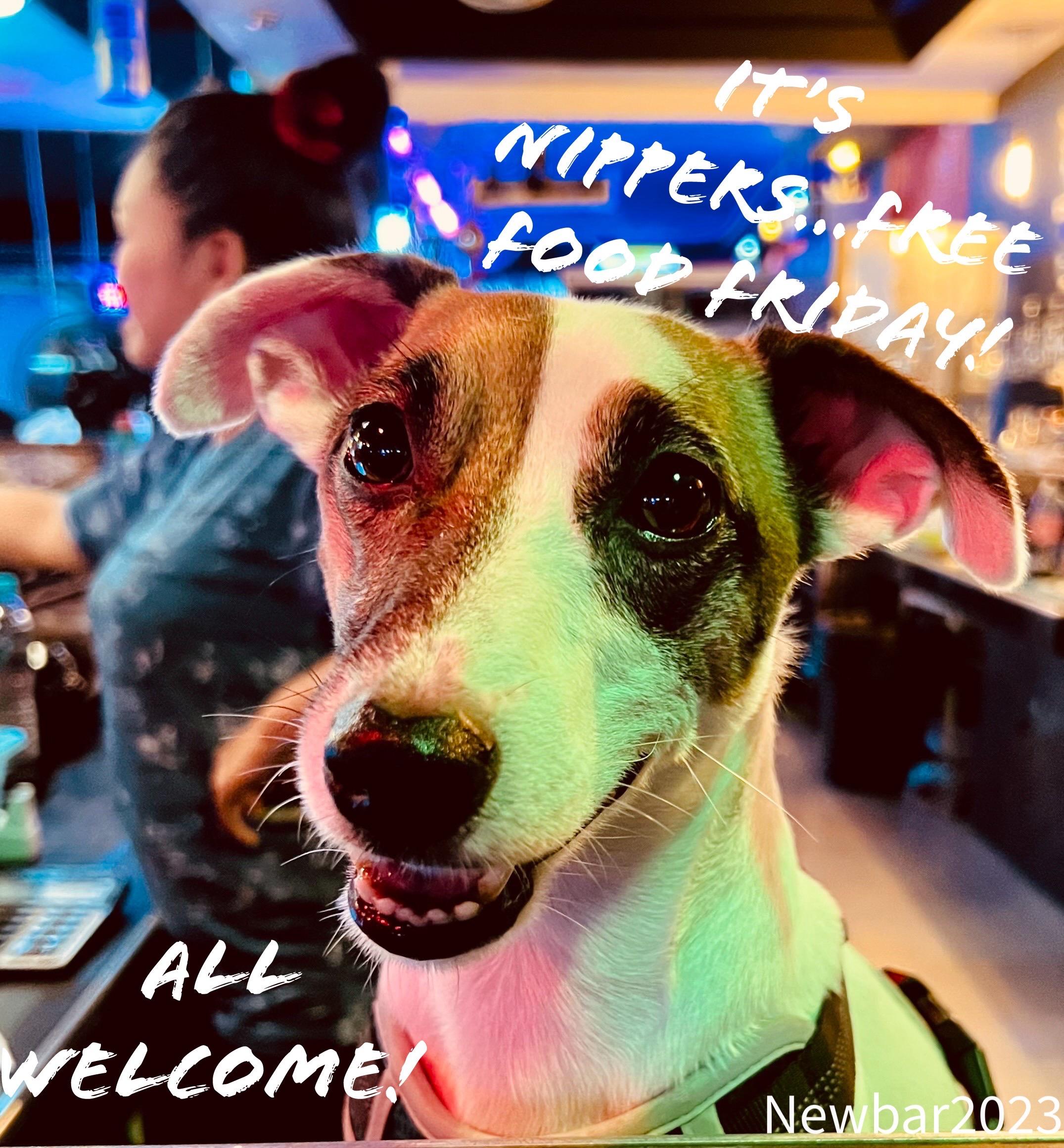 Newbar & Thaiger Bar Thread Reborn! - Page 5 - Ladyboy Bars - LadyBoyReview